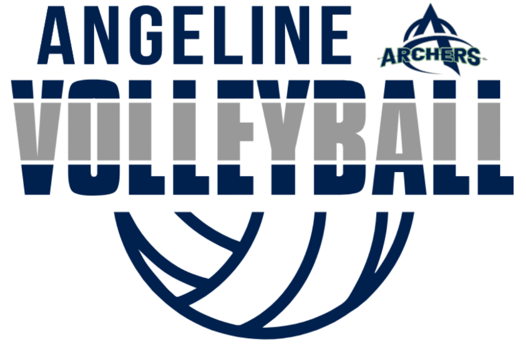MS Volleyball | Angeline Academy of Innovation